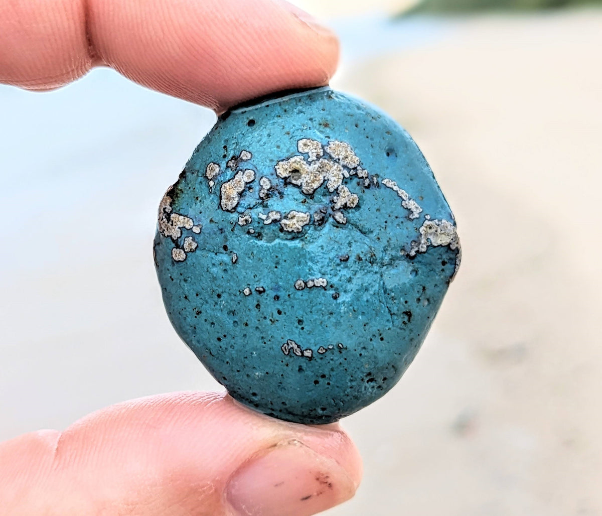 Unraveling the Mystique: What is Leland Blue Anyway? – DevonianCoast