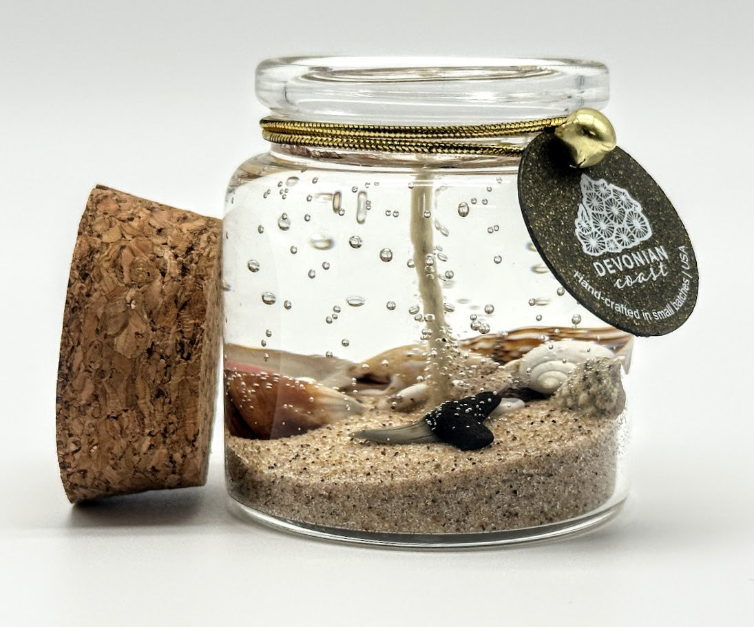 MINI Shark Tooth Fossil Beach Gel Candle | Includes Real Shark Tooth ...