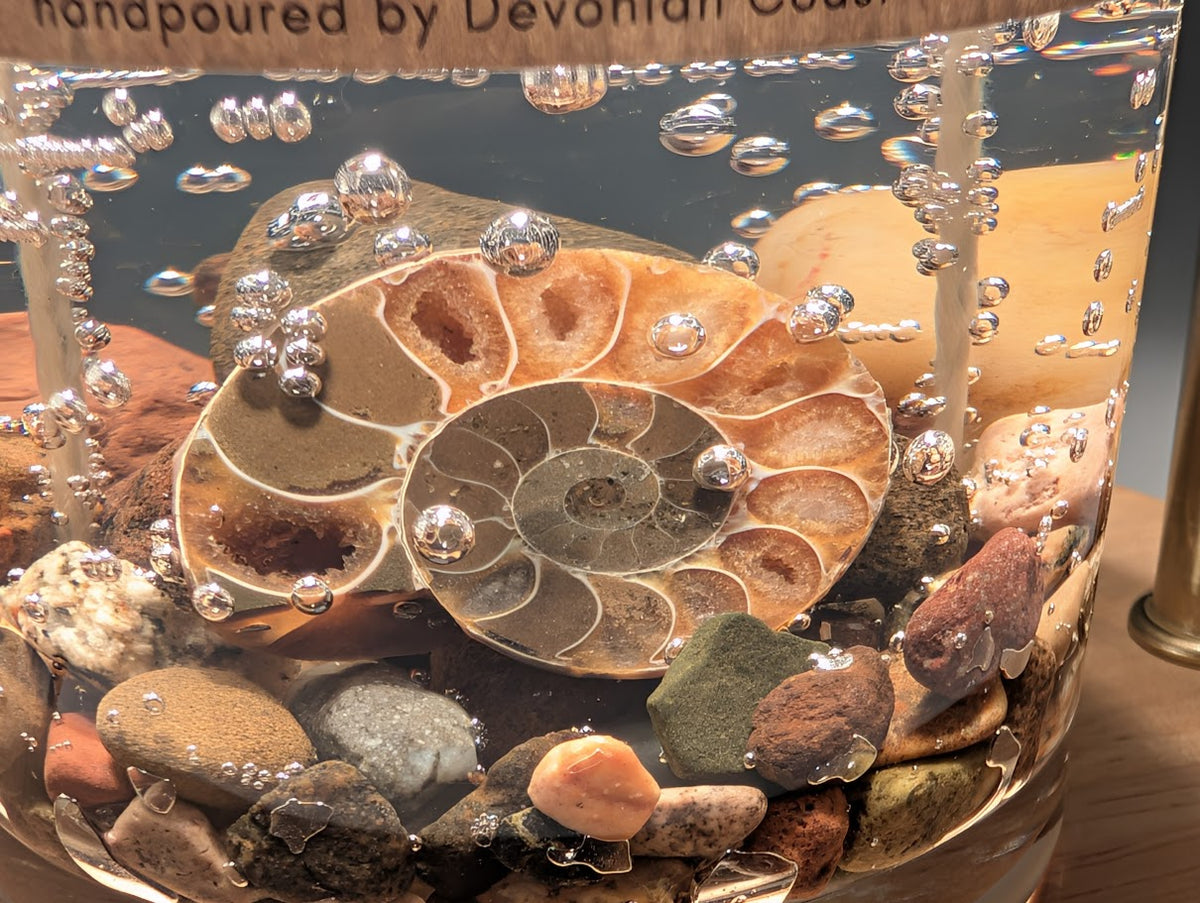 Ammonite Fossil Treasure Candle — Ancient Earth Collection – DevonianCoast